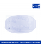 Elect IV 10cm x 12cm