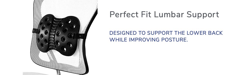 Backjoy Perfect Fit Lumbar Support (Black)